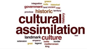 Assimilation AP Human Geography: A Comprehensive Guide [2024]